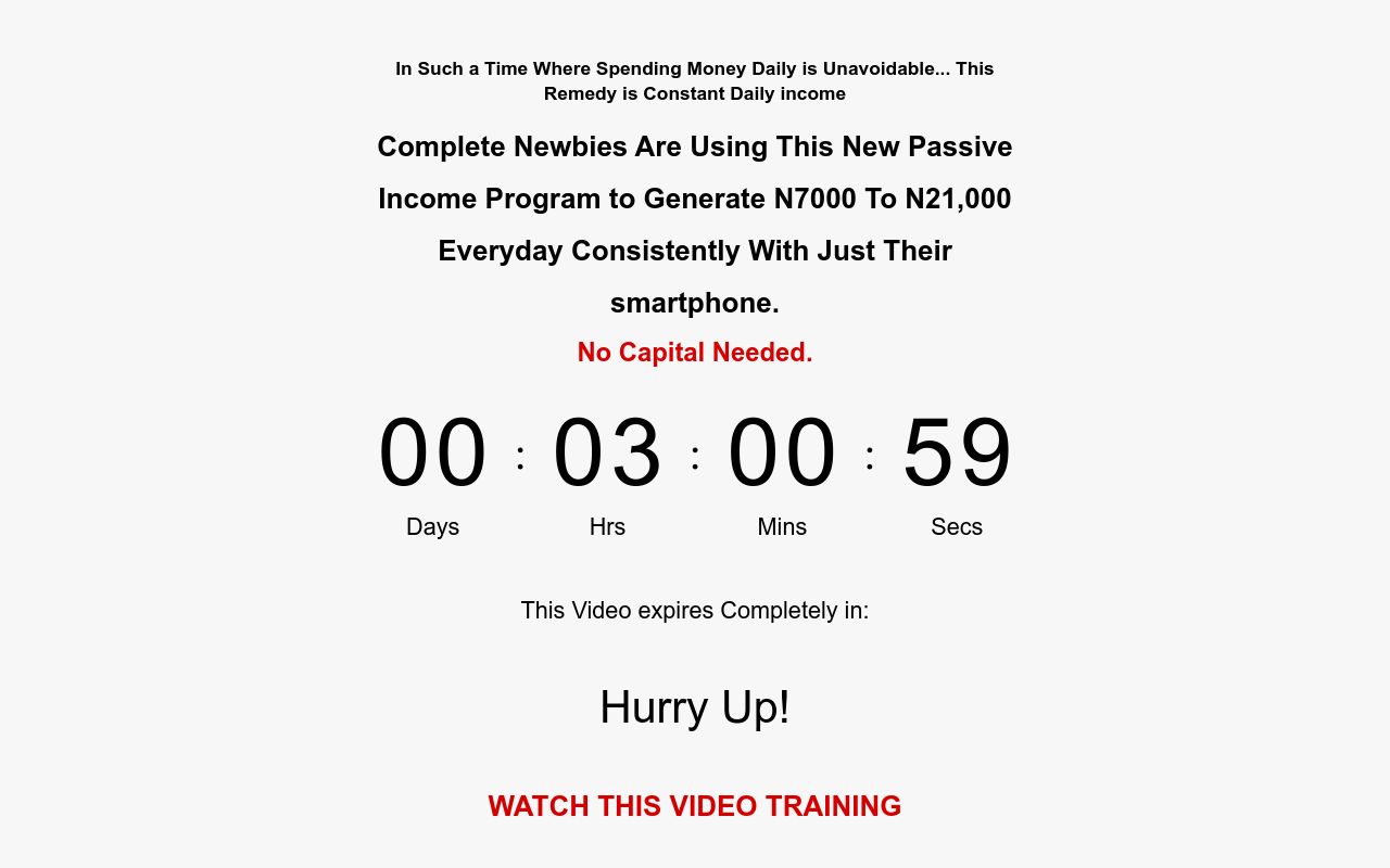 Passive income program